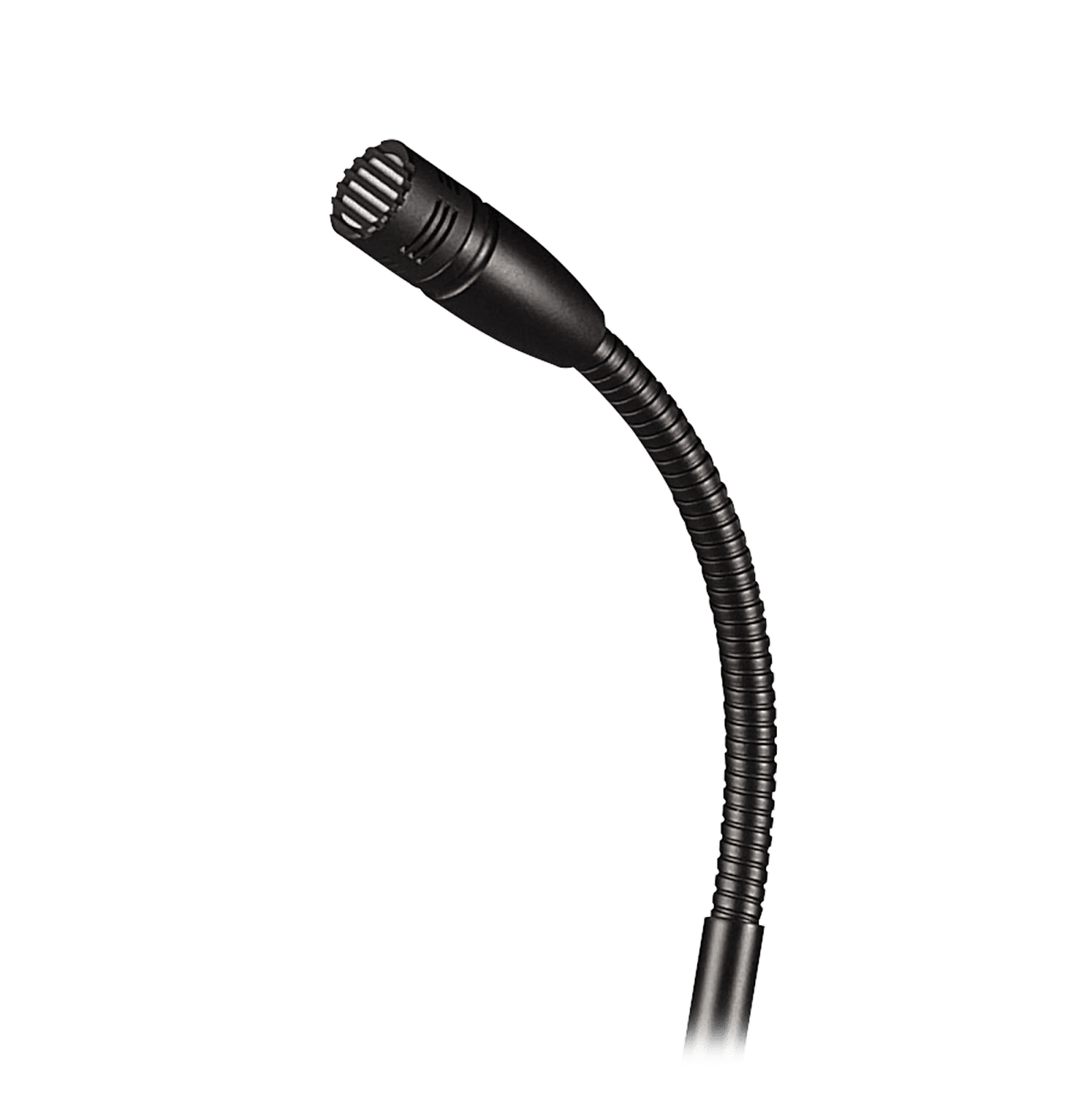 6 Best Microphones for Podium in 2023 - Hollyland