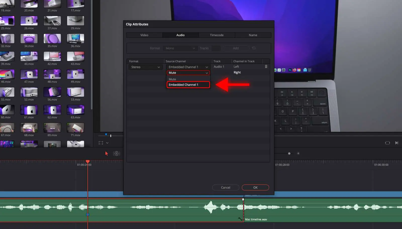How to Resolve DaVinci Resolve Audio Only on the Left? - Hollyland