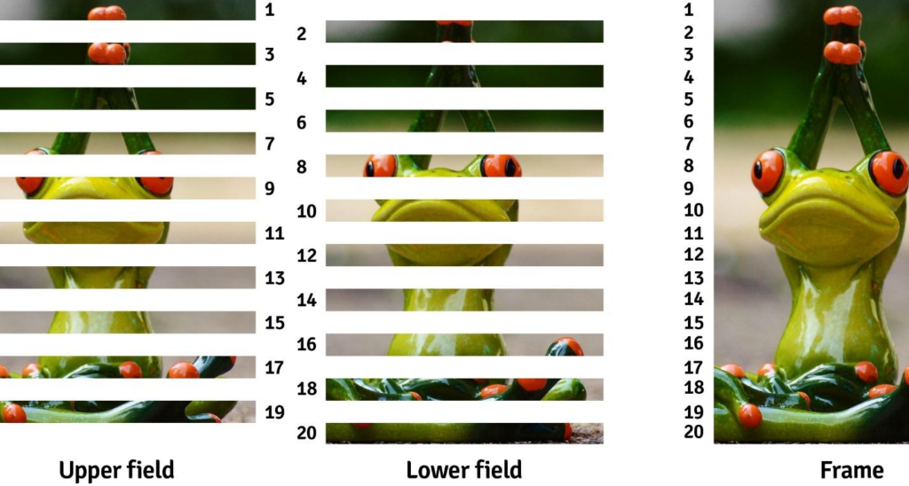 Difference Between Interlaced and Progressive Video - Davinci Resolve - Hollyland