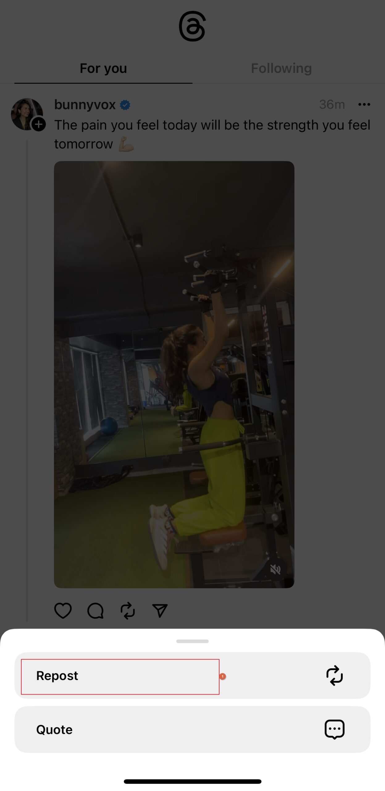 How to Post on Threads [Step by Step] - Hollyland