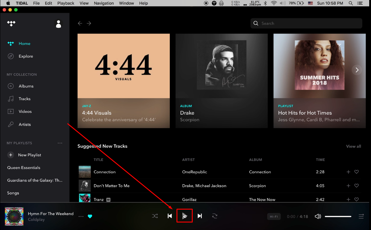 5 Fixes when Tidal My Collection Not Showing Up and More Issues Solved - Hollyland