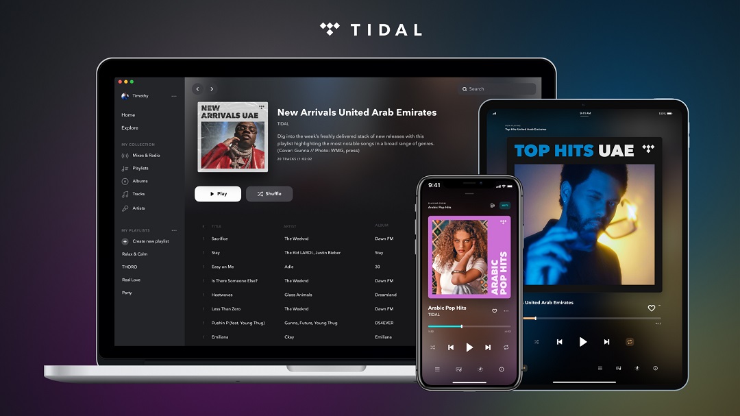 5 Fixes when Tidal My Collection Not Showing Up and More Issues Solved - Hollyland