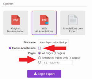 How To Make A Copy In Kami [Step by Step] - Hollyland