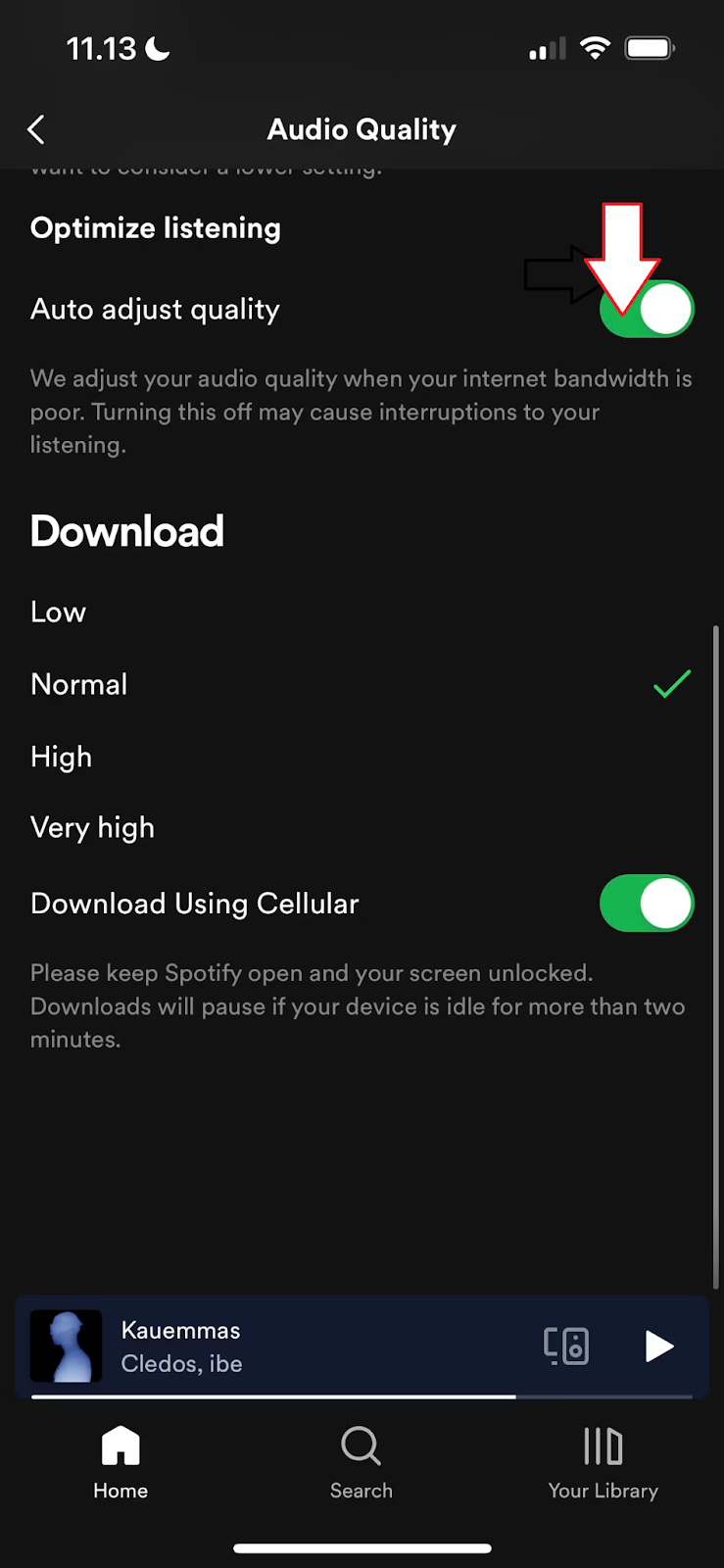 How To Stream Spotify At A Very High-Quality Bitrate - Hollyland
