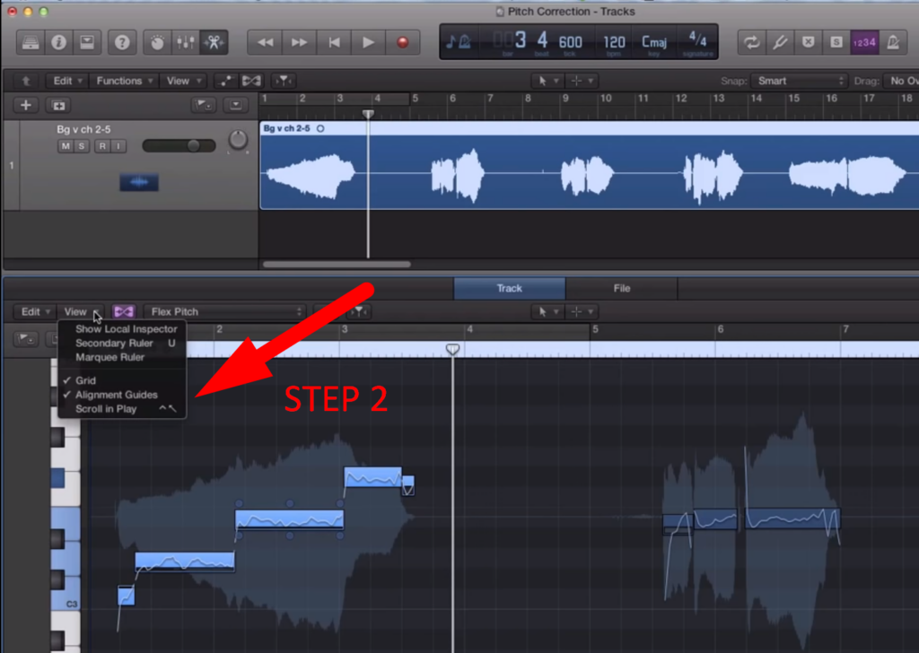 How to Use the Pitch Correction in Logic Pro [Step by Step] - Hollyland
