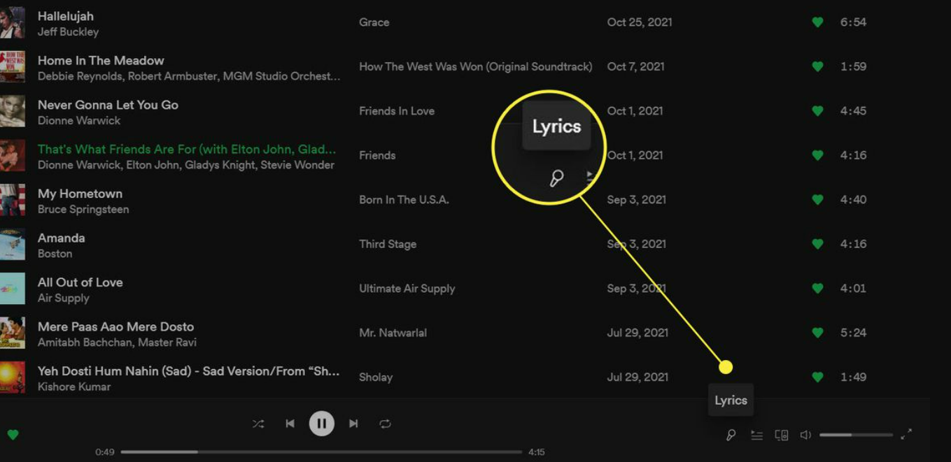 What Is the Microphone Icon on Spotify? - Hollyland