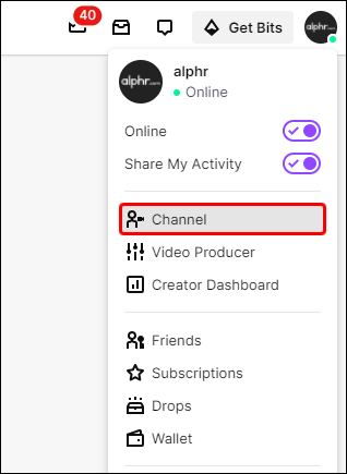 6 Methods to Show Twitch Chat in OBS - Hollyland
