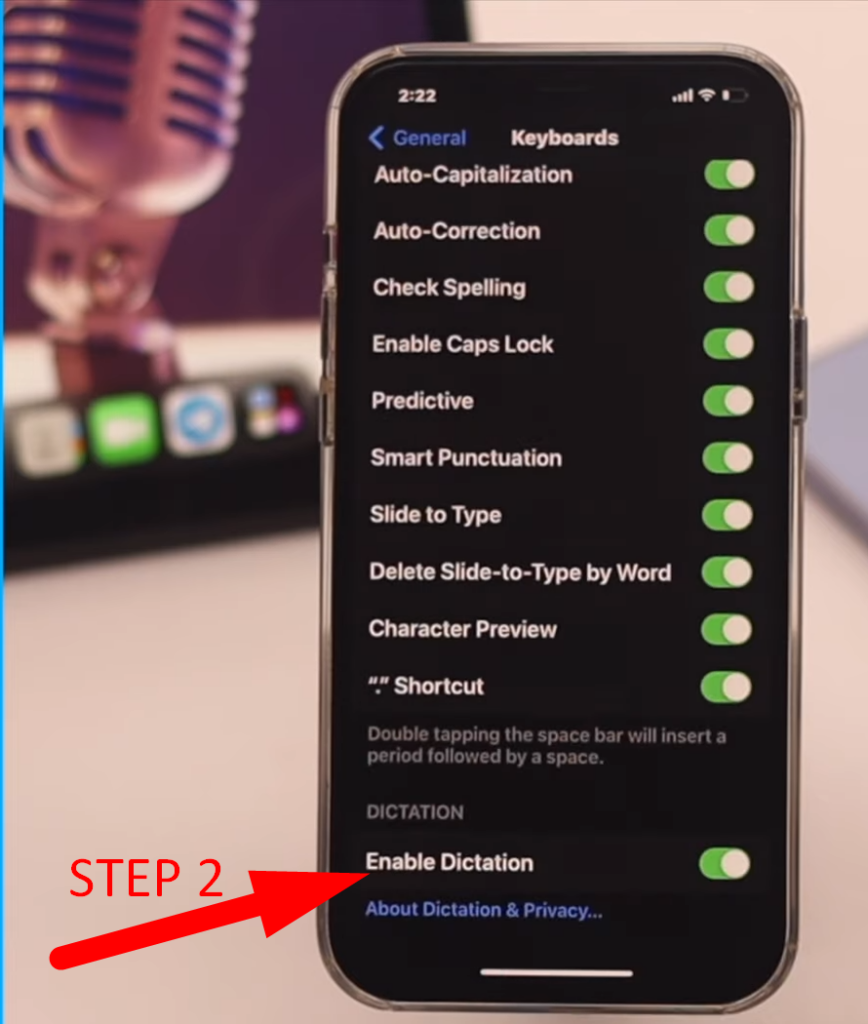 6 Fixes to the iPhone Audio Message Icon Missing - Hollyland