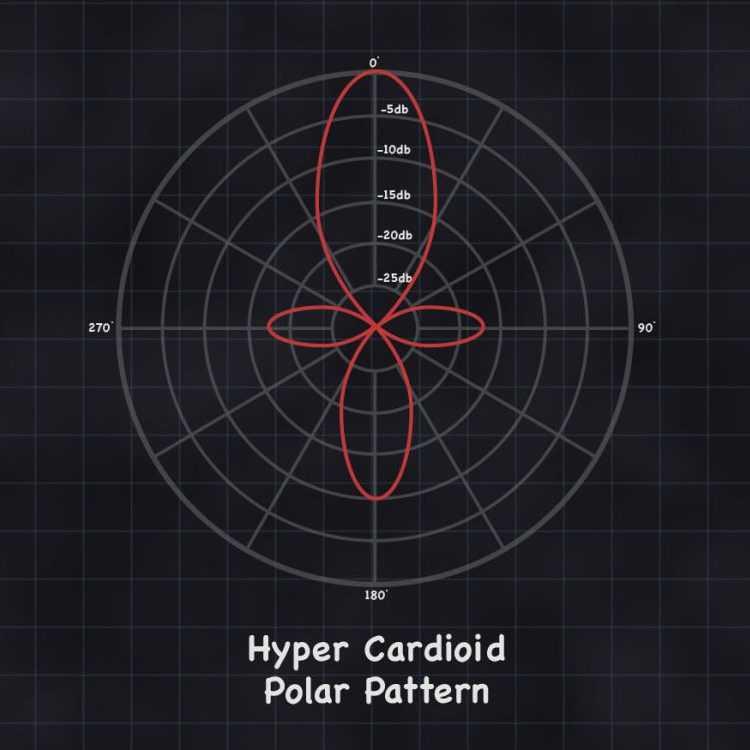 What Is a Shotgun Mic? Everything You Want to Know - Hollyland