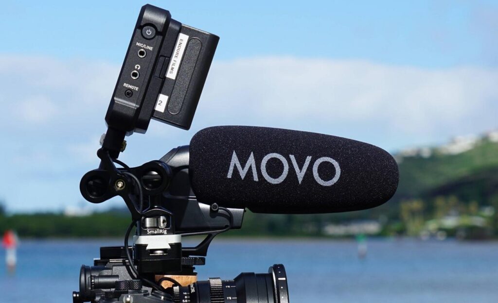 Everything About Wind Muffs for Microphones - Hollyland