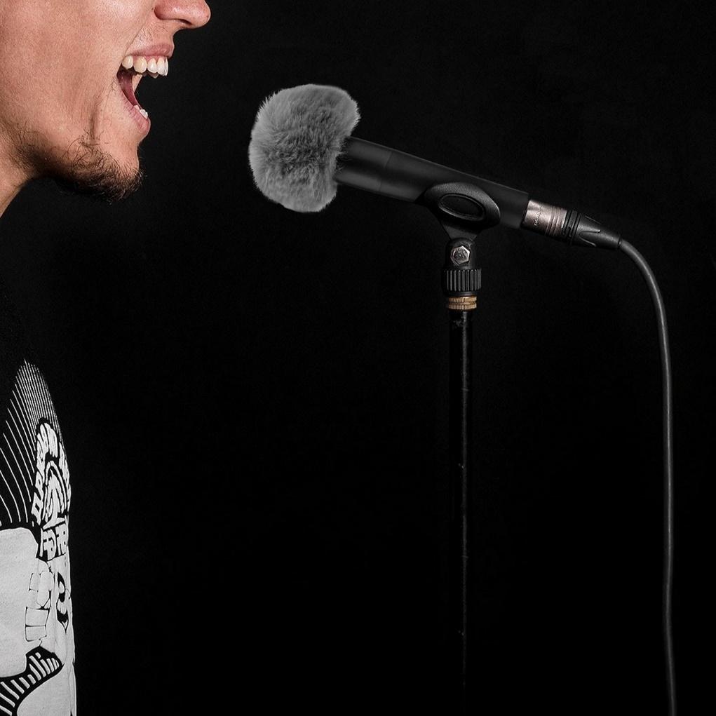 Everything About Wind Muffs for Microphones - Hollyland