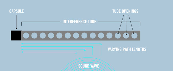 What is a Shotgun Microphone - Hollyland