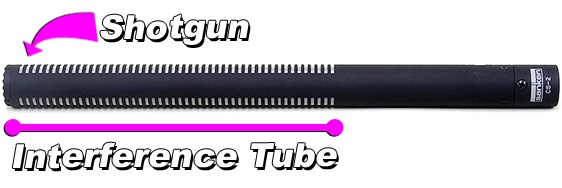 What is a Shotgun Microphone - Hollyland