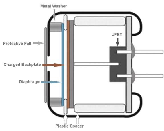 What is Omni Directional Microphone - Hollyland