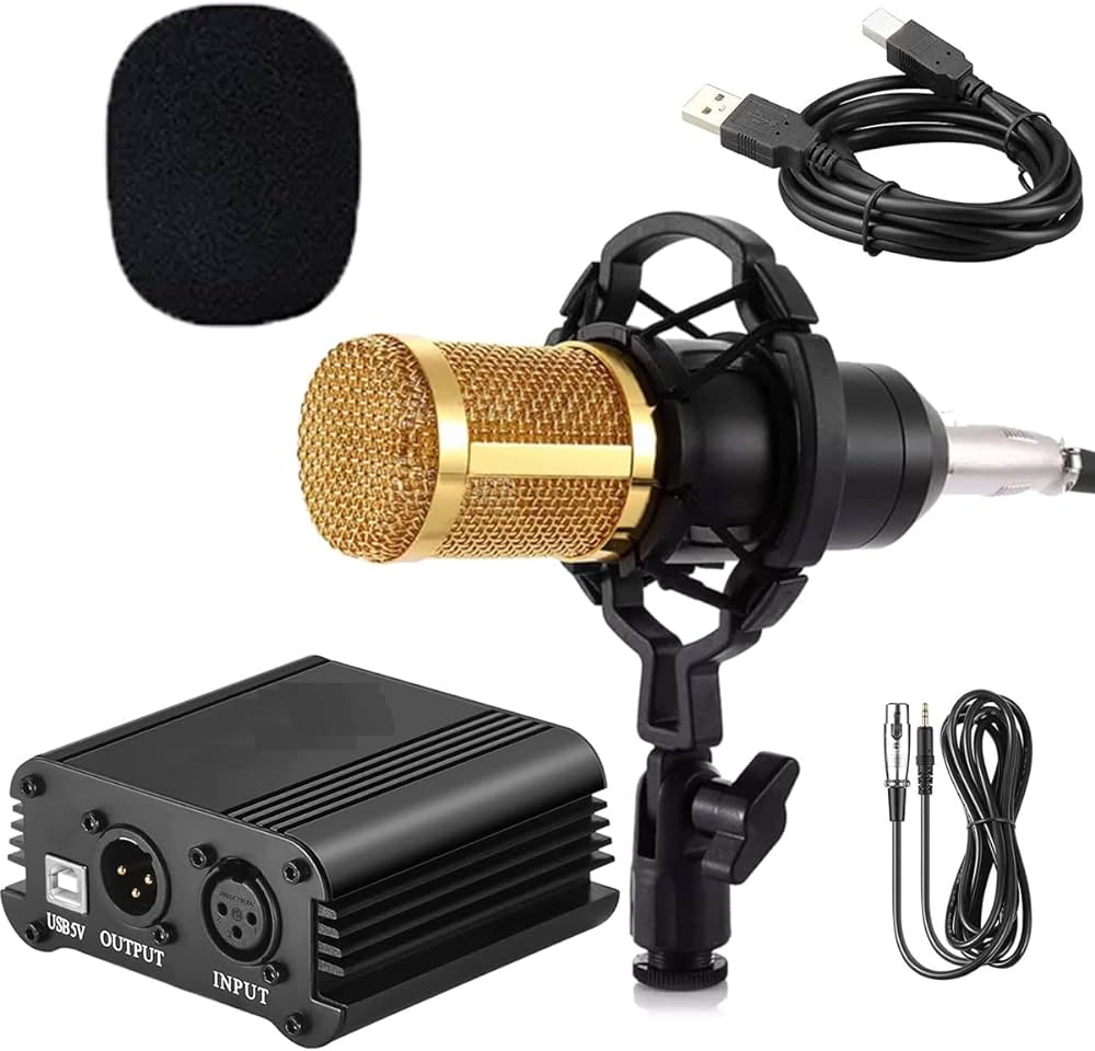 What is a Phantom Power Microphone - Hollyland