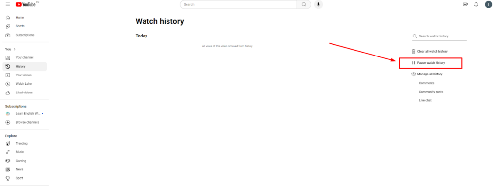 4 Fixes to YouTube Search History Not Showing - Hollyland