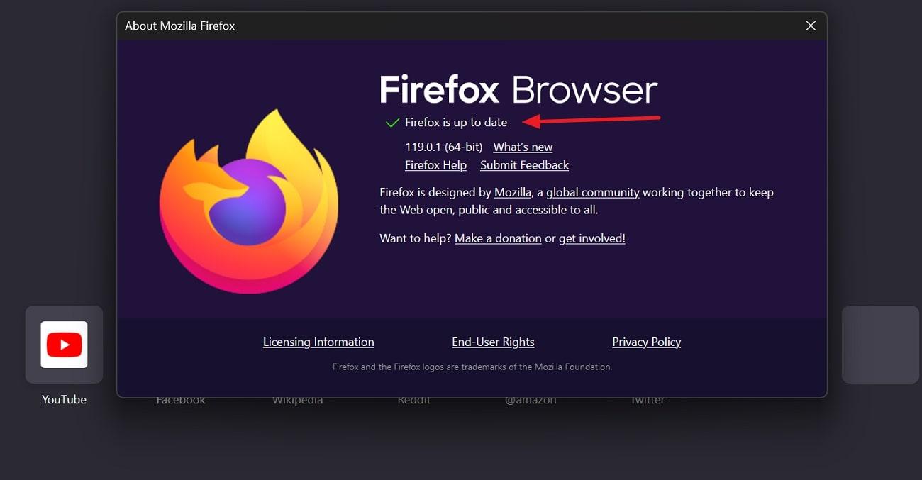 8 Best Fixes to Resolve YouTube So Slow on Firefox Problem - Hollyland