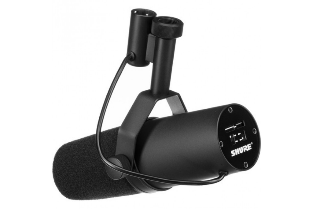 5 Best Microphones for Audiobook Recording in 2024 - Hollyland