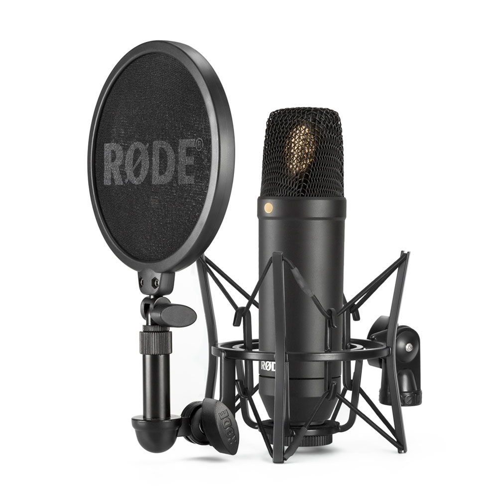 5 Best Microphones for Audiobook Recording in 2024 - Hollyland