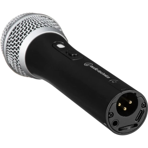 5 Best Dynamic Microphones Under $50 in 2024 - Hollyland