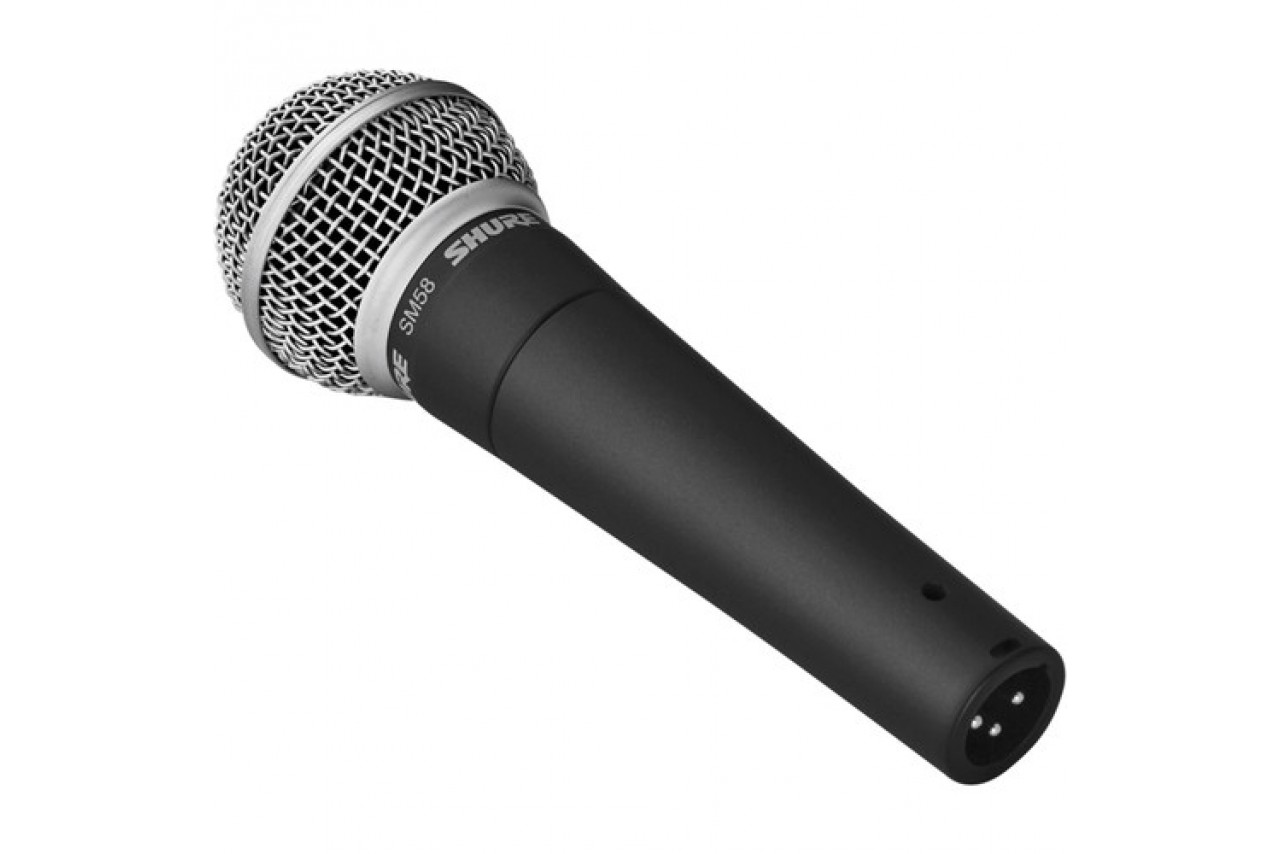 5 Best Dynamic Microphones for Live Performance in 2024 - Hollyland