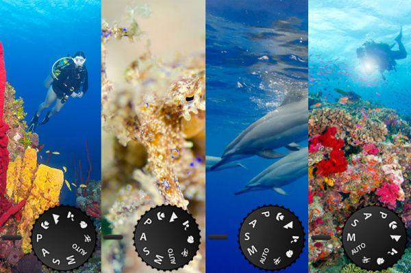 Ultimate Guide to Use the Canon Rebel T7 - Hollyland