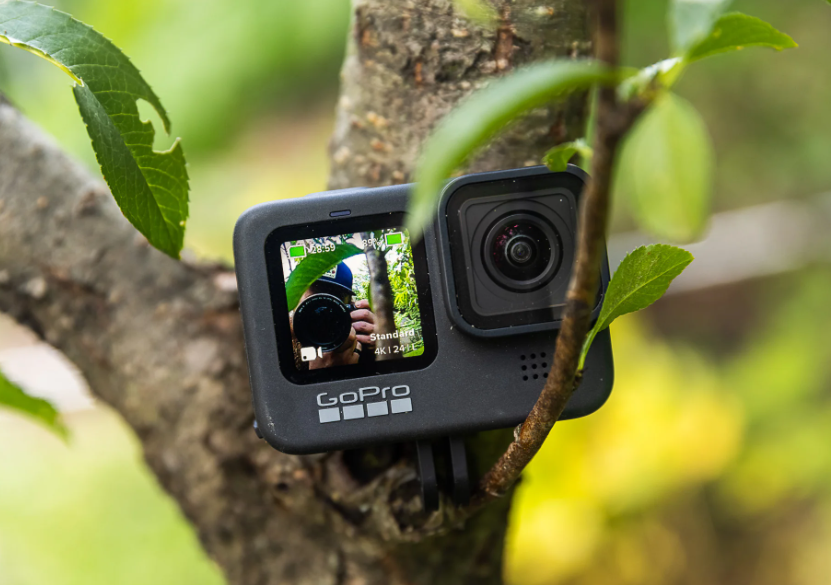 8 Ways to Hide a GoPro to Take Special Photos - Hollyland