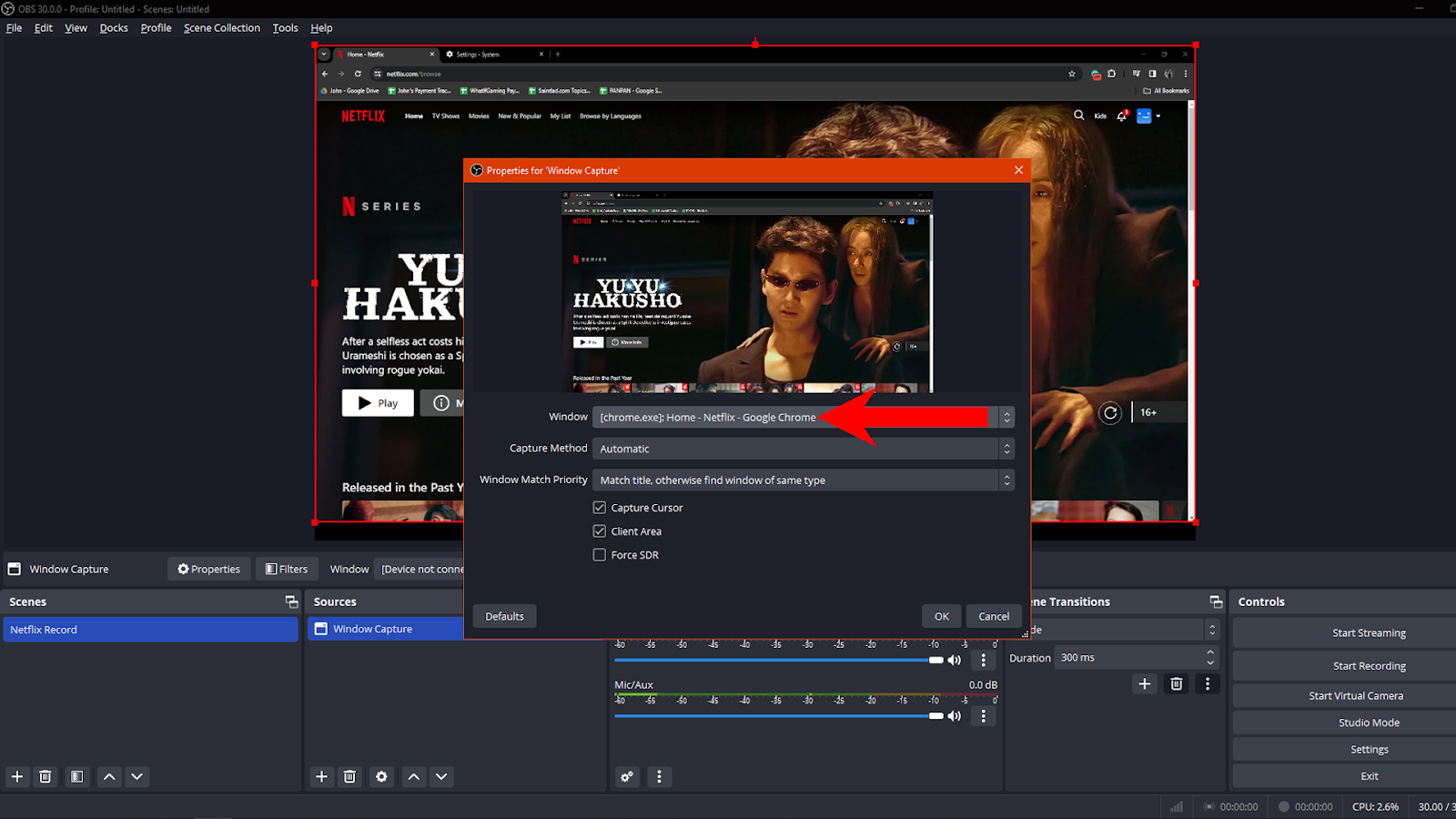 3 Solutions to Screen Record Netflix Without A Black Screen - Hollyland