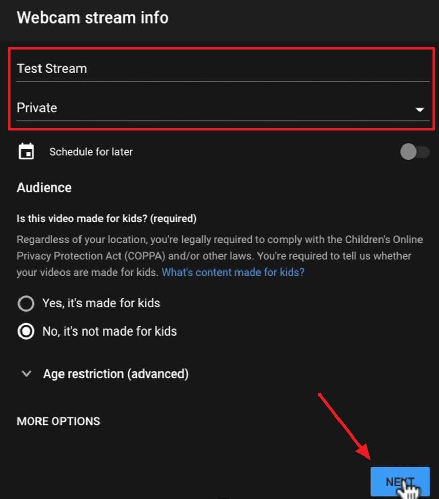 How Can You Agree to YouTube Terms to Enable Live Streaming? - Hollyland