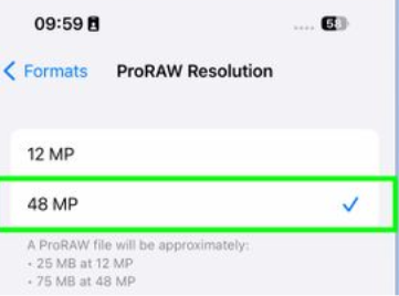 Best iPhone 14 Pro Camera Settings - Hollyland