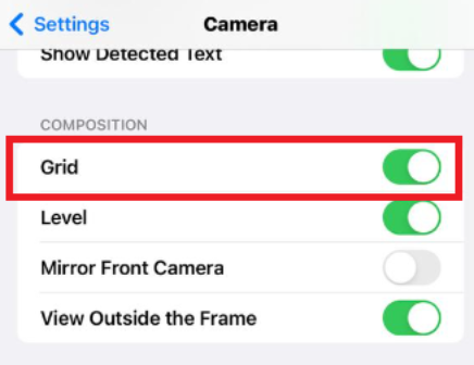 Why Does My Face Look Crooked on iPhone Camera? - Hollyland