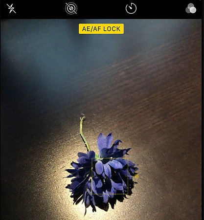 Why Does My Face Look Crooked on iPhone Camera? - Hollyland