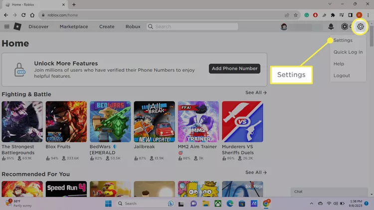 How to Use a Microphone in Roblox [Step By Step] - Hollyland
