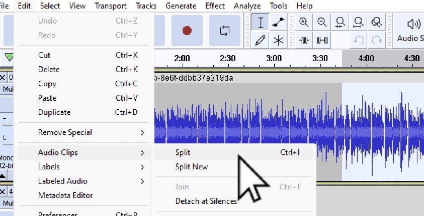 How to Trim Audio in Audacity [Step by Step] - Hollyland