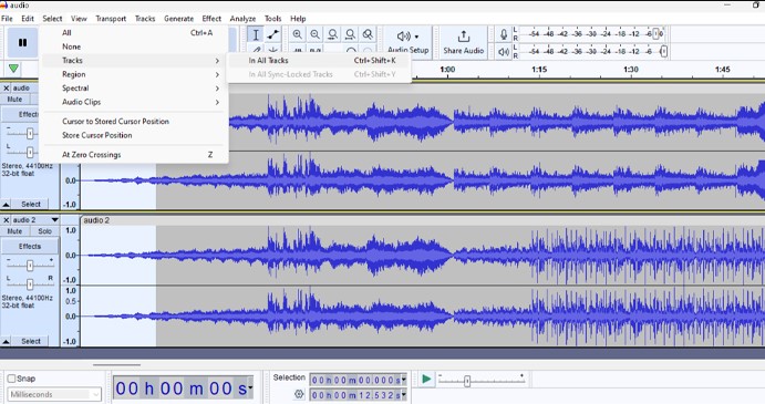 How to Trim Audio in Audacity [Step by Step] - Hollyland