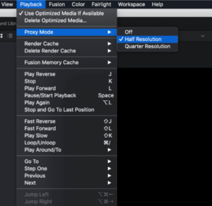 How to Speed up Playback in Davinci Resolve [Step by Step] - Hollyland