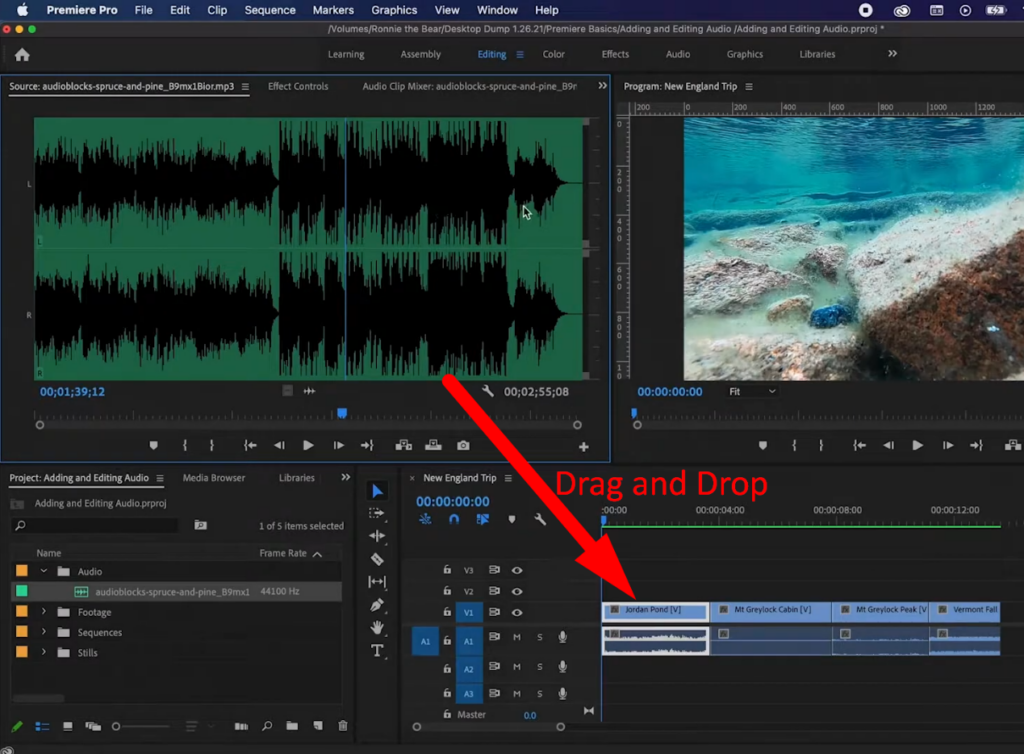How to Add Audio to Premiere Pro Step by Step - Hollyland