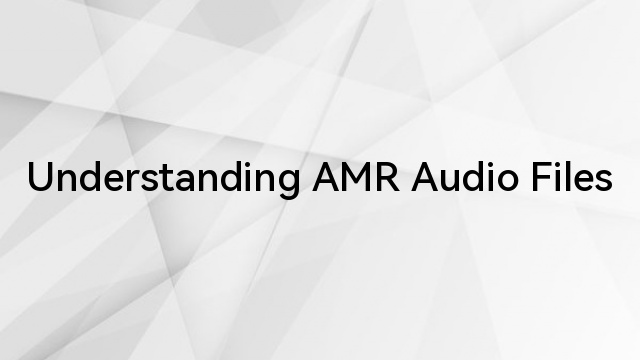 Understanding AMR Audio Files - Hollyland
