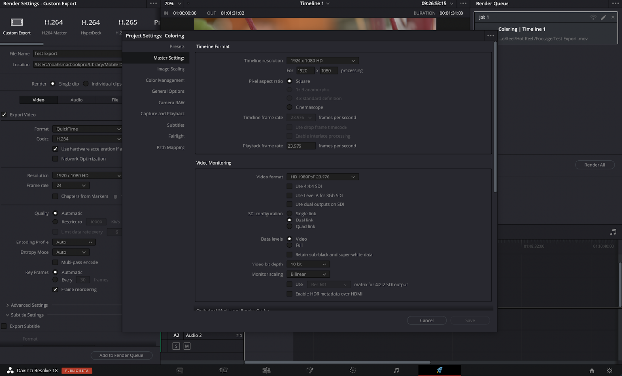 Ultimate Guide to Clear In and Out Points in DaVinci Resolve - Hollyland