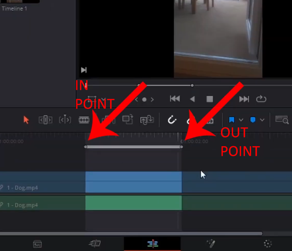 Ultimate Guide to Clear In and Out Points in DaVinci Resolve - Hollyland
